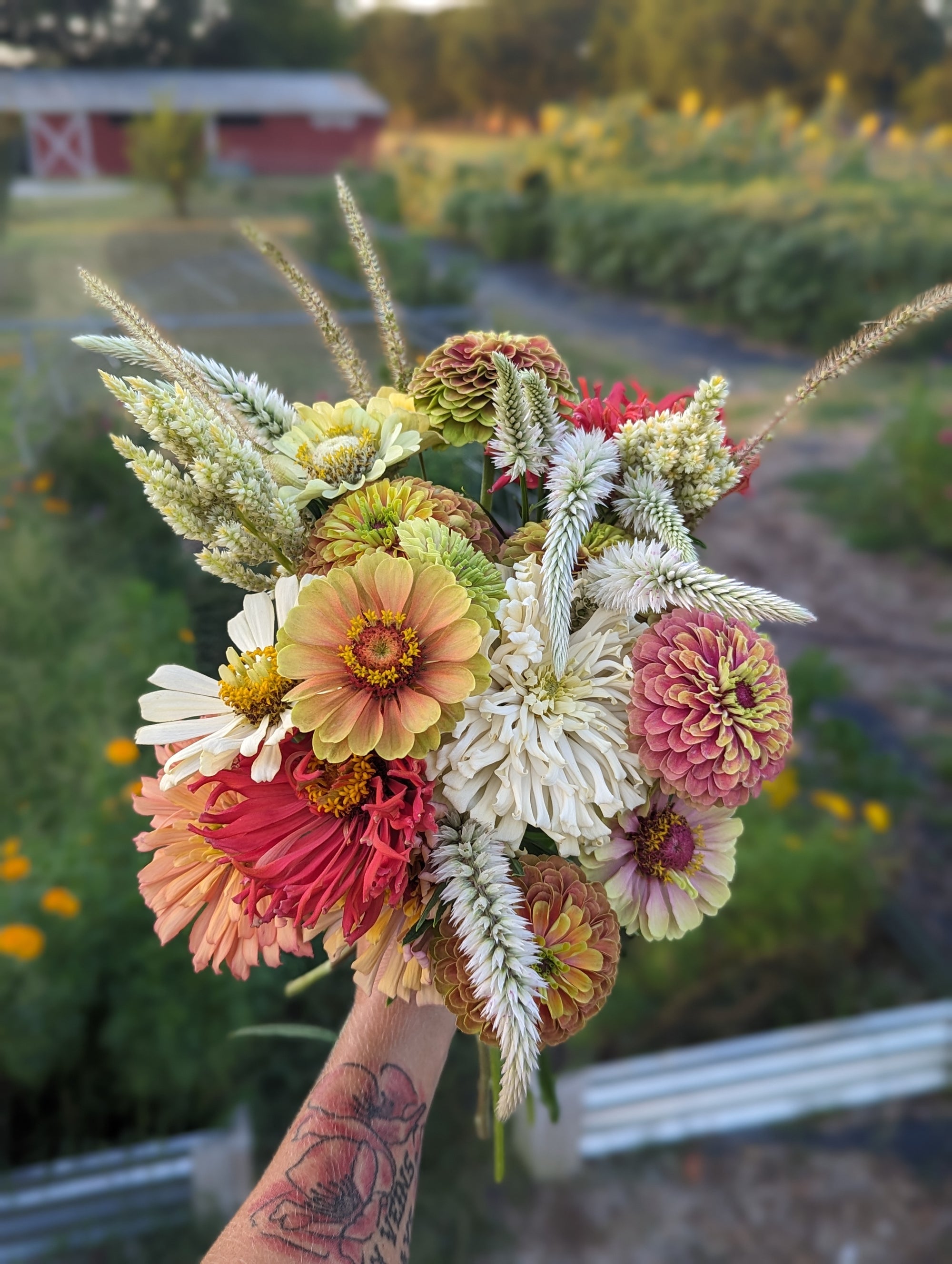 Home – Robinson Ranch